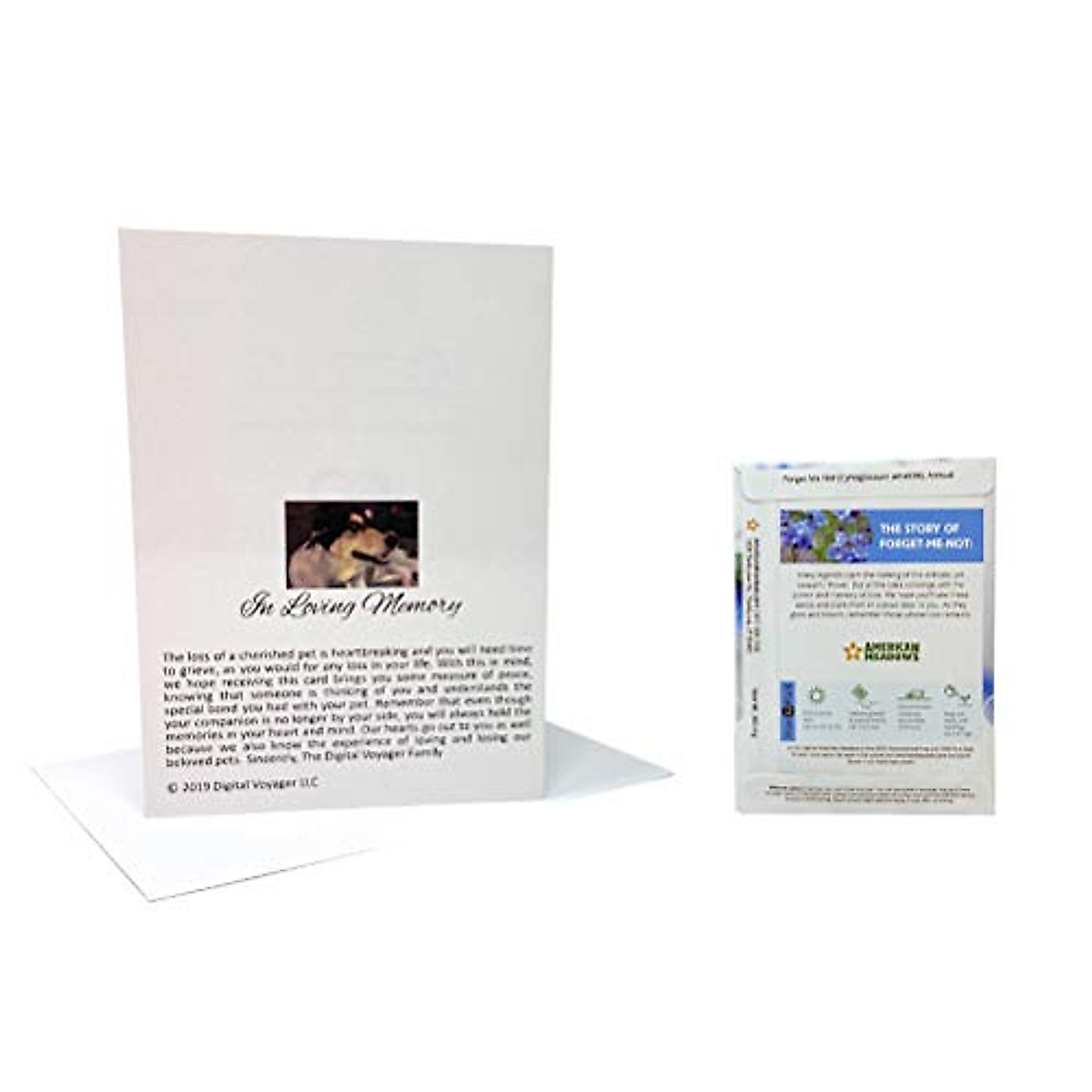 Pet Sympathy Card & Forget Me Not Seed Packet Memorial Gift Set