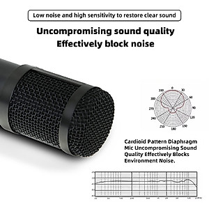 Studio Condenser USB Microphone Computer PC Microphone Kit with Adjustable Scissor Arm Stand Shock Mount, for PC Computer Recording Podcasting YouTube Karaoke Gaming Streaming Teaching Guarda GD100