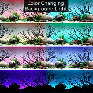 CURRENT USA Serene Add-on Accessory LED Background Light Kit | Includes Frosted Background Glass Film and RGB LED Light Strip | Fits Aquariums 48"-60" (Requires Serene Controller)