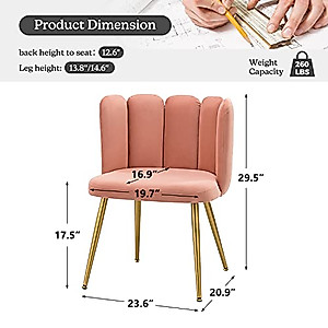 HULALA HOME Velvet Accent Chairs Modern Vanity Chairs for Makeup Room, Comfy Upholstered Dining Chairs for Living Room with Shell Back and Golden Metal Legs/Pink