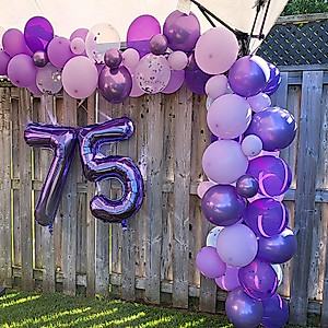 Purple Balloons Purple Confetti Balloon Set, 60Pcs 12Inch Metallic Chrome Purple Balloons Lavender Lilac Balloons Dark Purple Latex Balloons for Birthday Wedding Baby Shower Party Decoration