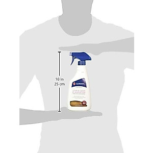 Guardsman 462600 Stain & Odor Eliminator for Fabric Removes Stains, Grease, Red Wine, Pet Stains,16 Oz Spray