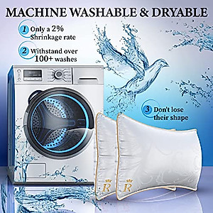 Royal Therapy King-Size Professional Hotel Pillows (2-Pack) - A Set of Premium Plush Gel Microfiber Down Alternative Hypoallergenic Bed Pillows for Your Bedroom - Side, Stomach & Back Sleepers