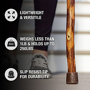 Free form Hickory Walking Stick-48