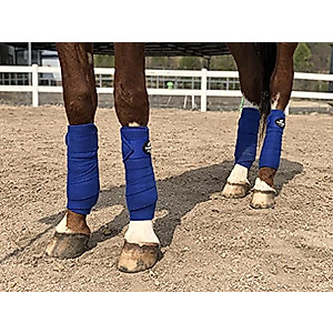 TGW RIDING Horse Polo Leg Wraps, 4-Pack (Royal Blue)(4.73inchesX118inches)