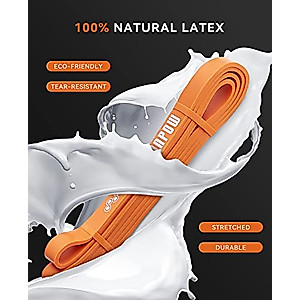 SUNPOW Pull Up Assistance Bands - Set of 5 Resistance Heavy Duty Workout Exercise Stretch Fitness Bands Assist Set for Body, Instruction Guide and Carry Bag Included