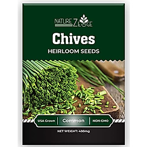5 Herb Seeds Variety Kit, Oregano, Cilantro, Parsley, Basil, Chives