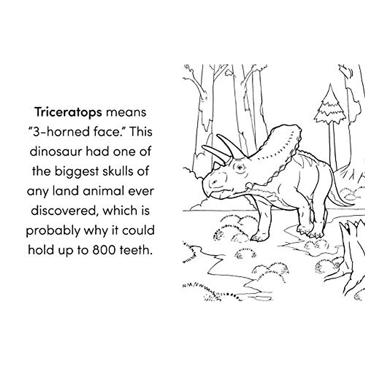 Dinosaur Book for Kids: Coloring Fun and Awesome Facts (A Did You Know? Coloring Book)