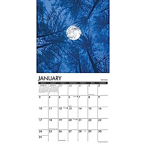 Moons 2021 Wall Calendar