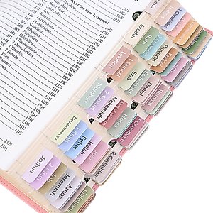 EOOUT Bible Tabs, 90 Tabs, Morandi Laminated Bible Tabs for Women and Men, Bible Book Tabs, Testament Bible Index Labels, Morandi Aesthetic Bible Journaling Study Supplies Accessories
