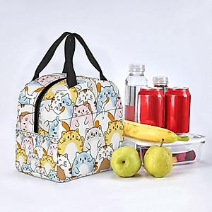 Echoserein Cute Cat Kawaii Kitten Lunch Bag Insulated Lunch Box Reusable Lunchbox Waterproof Portable Lunch Tote For Women Men Girls Boys
