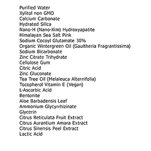 Pro-Mineralizer Toothpaste - Nano Hydroxyapatite & Enamel Support Toothpaste w/Xylitol Aloe Vera & Sea Salt - Anti Cavity & Fluoride Free NanoHydroxyapatite Toothpaste - Dentist Formulated Toothpaste