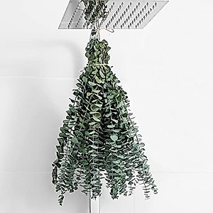 10 Pcs Dried Eucalyptus Stems 17" Real Eucalyptus 100% Made from Fresh Eucalyptus Leaves Artificial Eucalyptus for Shower Hanging, Wedding Decor Home Decor Farmhouse Decor DIY Artificial Plants,Green