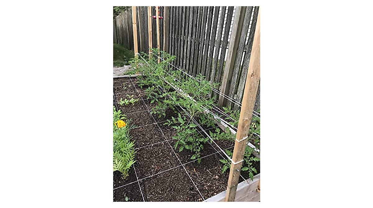 IRRIGATION-MART 6300FT Tomato Tying Twine for Gardens