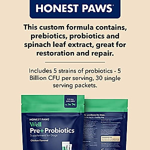 Honest Paws Probiotics for Dogs Made in USA - Dog Probiotic Powder with Prebiotic for Healthy Gut, Digestive and Immune Support - Digestive Enzymes with Chicken Flavor (30 Sticks)