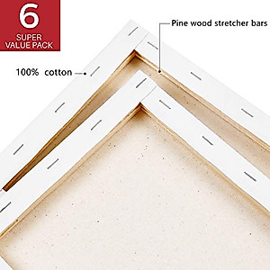 Artecho 16x20 Inch Stretched Canvas, White Blank 6 Pack, Primed 100% Cotton, Super Value Bulk Pack for Painting, Acrylic Pouring, Oil Paint & Artist Media