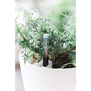 GARDENIX DECOR 7'' Self Watering planters for Indoor Plants - Flower Pot with Water Level Indicator for Plants, Grow Tracking Tool - Self Watering Planter Plant Pot - Coco Coir - White 3 Pack