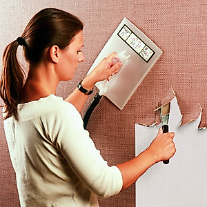 Wagner Spraytech 0282036 715 Power Steamer, Chemical Free Wallpaper Remover, Two Steam Plates Included, Long Run Time, Lightweight Design, Wallpaper Steamer