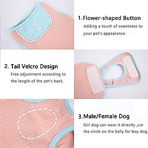 Dog Surgery Recovery Suit After Surgery Pet Recovery Shirt Dog Abdominal Wounds Anxiety Vest Calming Shirt Female Dog Sanitary Panties Jumpsuit for Dog Surgical Recovery Suit(DRS02-Beige-S)
