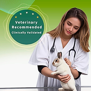 NUTRIARISE Digestive Support Grass-Based Supplement for Rabbit- High Fiber, Probiotics，Prevent GI Stasis, Promote Intestinal Motility and Minimize Intestinal Disease, 36 Tablets.