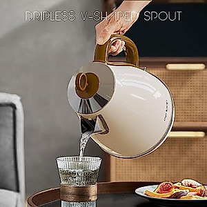 Evoloop 1.7L Electric Kettles, BPA Free Tea Kettle, Hot Water Boiler Heater, Stainless Steel Teapot, Auto Shut-Off & Boil-Dry Protection, 120V/1500W