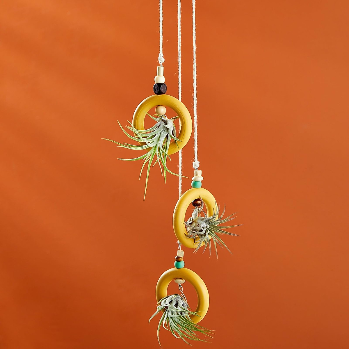 20 Pack Unfinished Natural Wood Rings for Crafts, Macrame Projects, Jewelry Making, DIY Pendant Connectors (2 in)