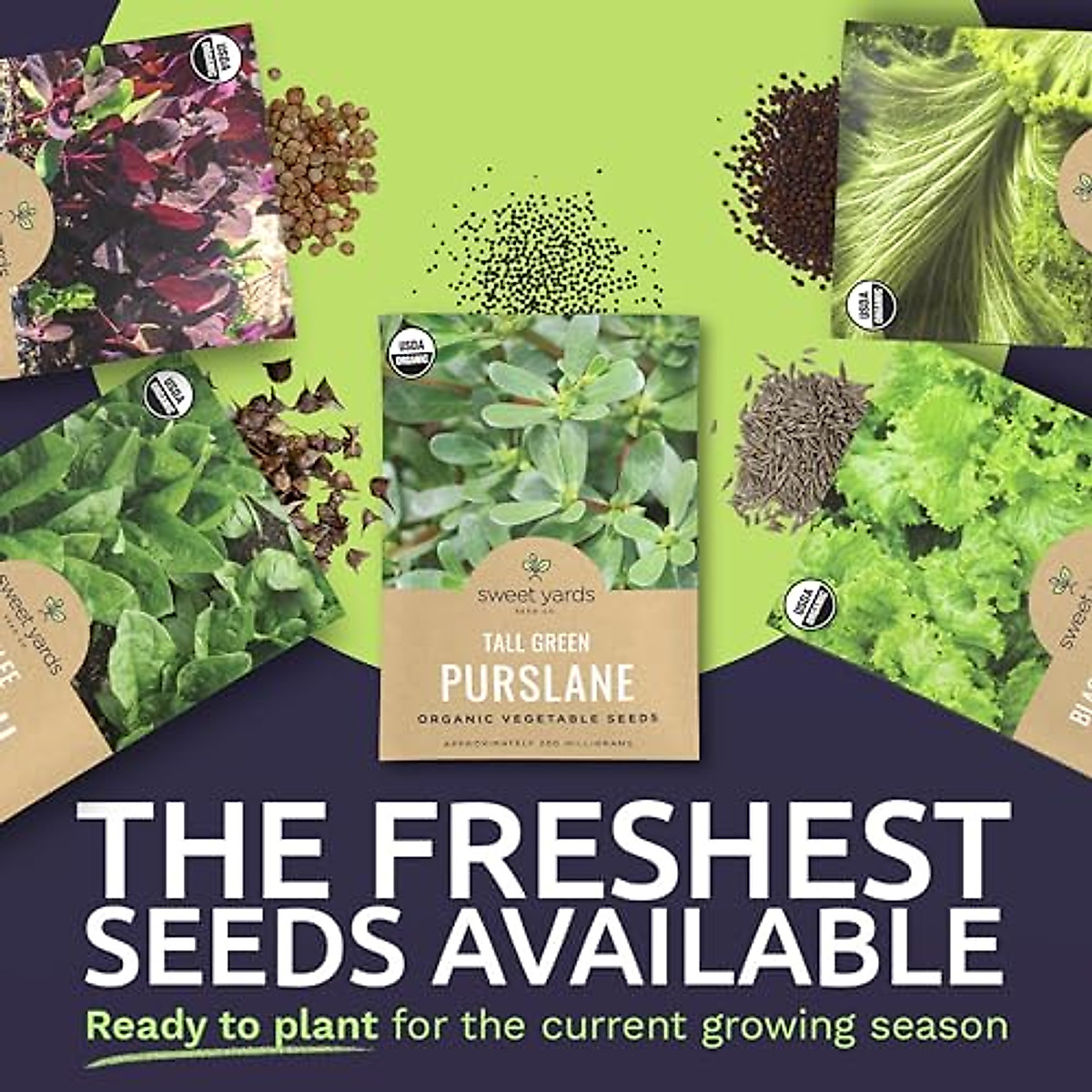 Hot Weather Lettuce and Greens Vegetable Seeds Organic Variety Pack - Non-GMO USDA Certified Organic Open Pollinated Heirloom USA Seed Packets