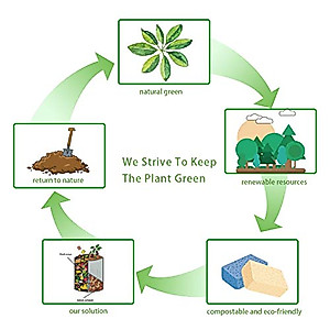 Cellulose Large Sponges for Cleaning, Multi-use Scrub, for Car, Boat and Kitchen, Pack of 3, Yellow, Environmentally Safe Biodegradable