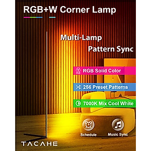 TACAHE Smart Corner Floor Lamp - Advanced Version, APP & Remote Control - Multi Lamp Pattern Sync - Transparent Lampshade with Ultra Brightness, Mood Light for Studio, Gaming Setup - 20W, Black