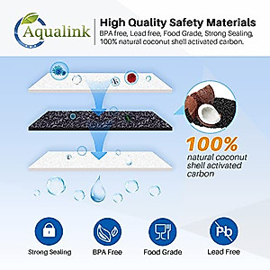 AQUALINK 5 Micron 10" x 4.5" Whole House Sediment Activated Carbon Water Filter Compatible with GE FXHTC, GXWH40L, GXWH35F, GNWH38S Universal Water Filter System 2pack.