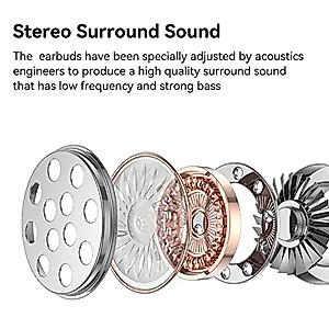 iRAG A101 Wired Earbuds Headphones Noise Isolating in-Ear Earphones with Microphone Remote with 3.5mm Plug in Audio Jack (Gun Metal)