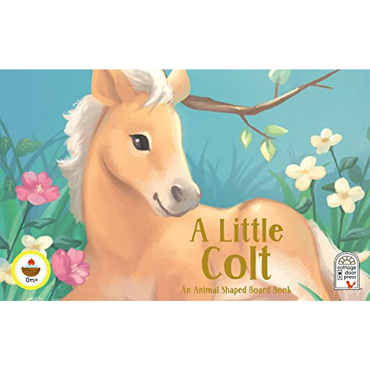A Little Colt: A Baby Horse Board Book Story