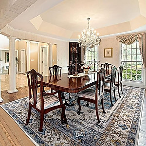 DECOMALL FINEEN 8x10 Area Rugs, Boho Rug for Bedroom, Vintage Distressed Medallion Carpet for Living Room, Beige Blue Multi, 8'x10'