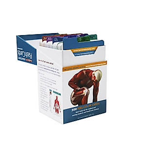 Anatomy Flash Cards (Barron's Test Prep)