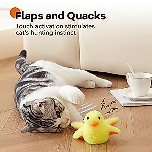 Potaroma Flopping Fish and Flapping Duck Bundle