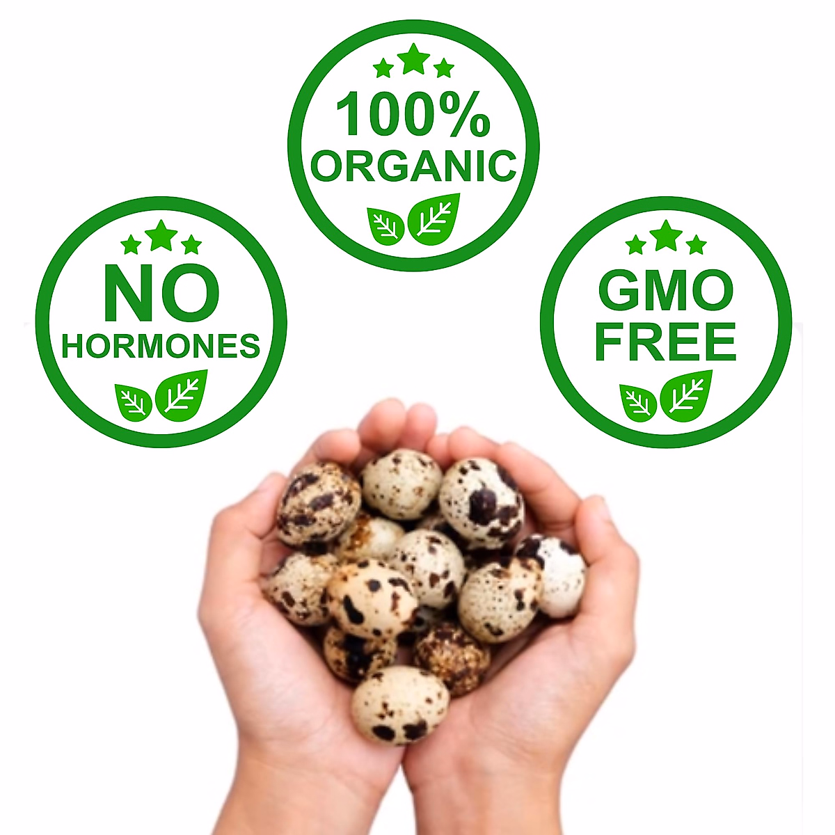 FARM FRESH Quail Eggs *Laid in the U.S.* Hormone Free; Non-GMO - (12+ Ct)