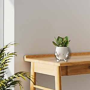 SXIDPDA Smiling Plant Pot with Middle Fingers Up, Flower Pots for Succulents, Funny Resin Figure Planter Pot for Indoor Outdoor