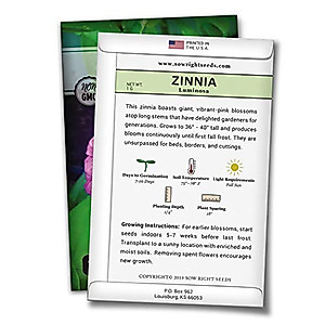 Sow Right Seeds - Luminosa Zinnia Flower Seeds for Planting, Beautiful Flowers to Plant in Your Garden; Non-GMO Heirloom Seed; Wonderful Gardening Gifts (1 Packet)