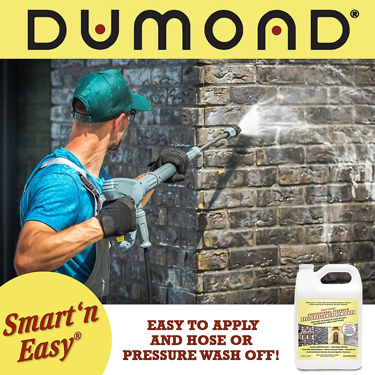 Smart 'n Easy Efflorescence Remover - Heavy Duty Professional Strength Formula - Removes The Toughest Salt, Calcium, and Magnesium Deposits from Concrete, Brick, Stucco, Pavers, & More - 1 Gallon