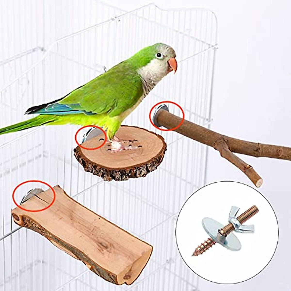 Bird Cage Screws Bird Perch Screws Bird Stand Platform Accessories 20 Washers 10 Screws 10 Wing Nuts 1 Drill Tool Hardware for Fixing Bird Playground Perch Food Bowls Feeder Breeding Box (10 Sets)