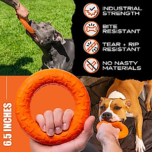 Monster K9 Indestructible Chew Ring - Lifetime Replacement - Ultra Durable Dog Toy for Aggressive Chewers - Chew, Tug, & Fetch - Best Tough Dog Toy for Medium & Large Breeds - Made in USA - 6.5in