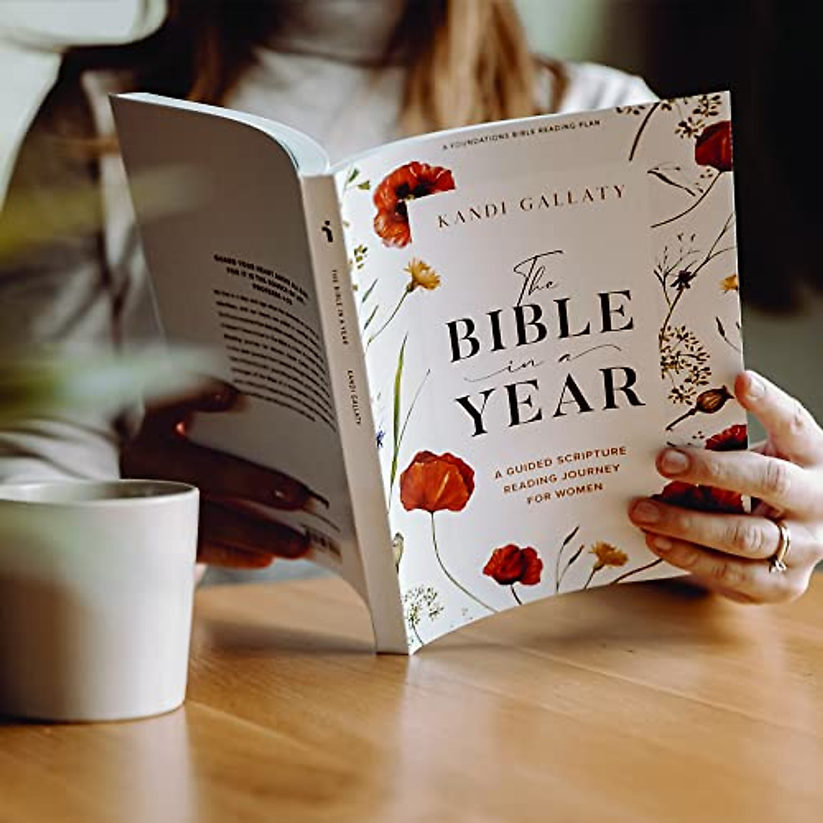 The Bible in a Year - Bible Study Book: A Guided Scripture Reading Journey for Women