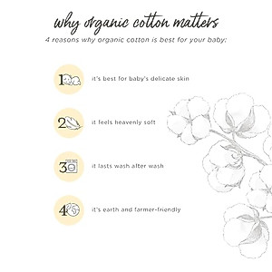 Burt's Bees Baby baby girls Rompers, of 2 Bubbles, One Piece Jumpsuits, 100% Organic Cotton and Toddler Layette Set, Graceful Swans, 3 Months US