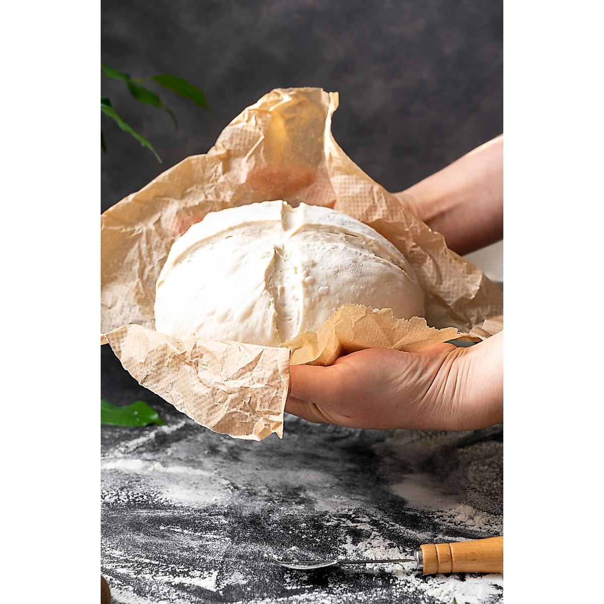 Fox Run Stainless Steel Bread Lame, 15 Blades and Wood Handle