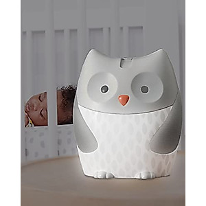Skip Hop Baby Soother, Moonlight & Melodies, Owl