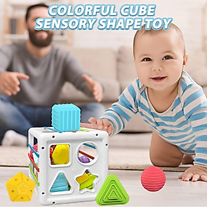 TOPZONE Baby Montessori Toys for 1 Year Old Boy Girl Gifts, Shape Sorter Sensory Bin Toys 6 to 12 18 Months, Fine Motor Skill Activity Cube Toddler Travel Baby 1st Birthday Gifts