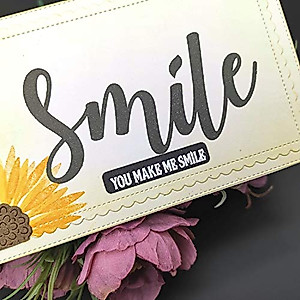 Alinacutle Sentiments Clear Stamps and Tag Die Set, Stripe Stamp Banner,Paper Craft Metal Die-Cuts,Scrapbooking Cutting