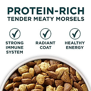 Purina ONE Plus Large Breed Puppy Food Dry Formula - 40 Lb. Bag.