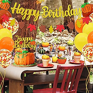 Pumpkin Birthday Decorations Party Pack - Fall Little Pumpkin themed Birthday Party Decoration Supplies For Kids
