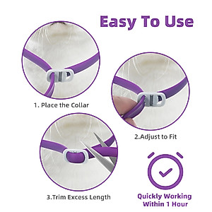 Cat Calming Collar for Cats, Pheromone Collar for Cats, Adjustable Efficient Relieve Reduce Anxiety Cat Collars for Pets with 60 Days Long Calming Effect for Small, Medium and Large Cats, 4Pcs